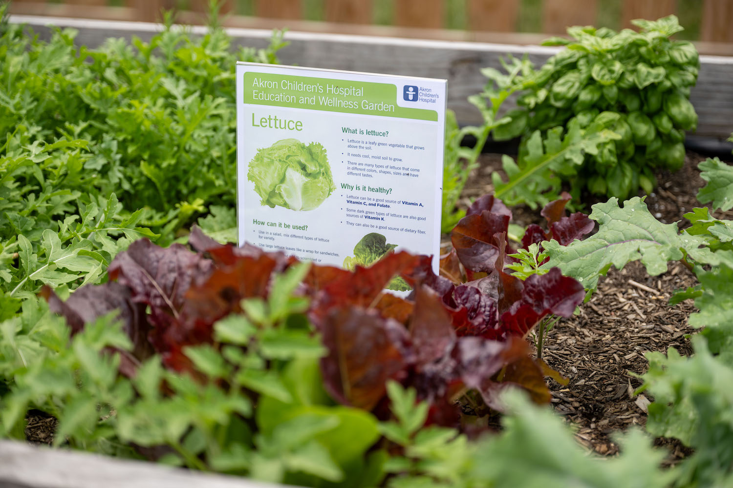 Support for patient families grows in our education and wellness garden ...