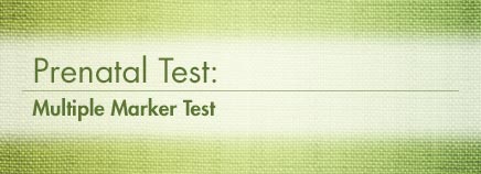 Kidshealth: Prenatal Test: Multiple Marker Test | Akron Children's Hospital