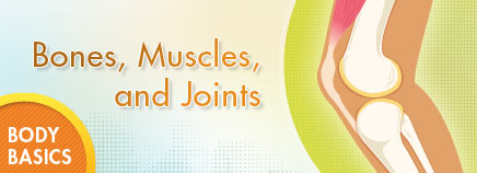 Kidshealth: Bones, Muscles, and Joints | Akron Children's Hospital