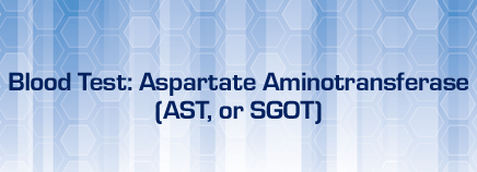 Kidshealth: Blood Test: Aspartate Aminotransferase (AST, or SGOT ...