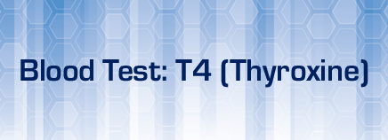 Kidshealth: Blood Test: T4 (Thyroxine) | Akron Children's Hospital