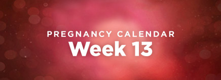 Kidshealth: Week 13 | Akron Children's Hospital