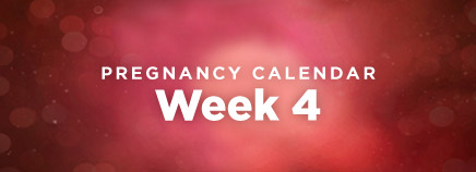 Kidshealth: Week 4 | Akron Children's Hospital