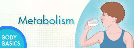 Kidshealth: Metabolism | Akron Children's Hospital